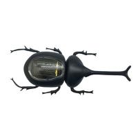 China Promotional Solar Toys Solar Powered Beetle Insect Knowledge Educational Toys Multiage Kids Toys for sale