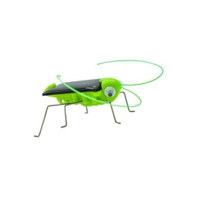 China New Coming Montessori Toys Product Solar Grasshopper Other Outdoor Solar Insect Educational Solar Toy for Kids Learning for sale