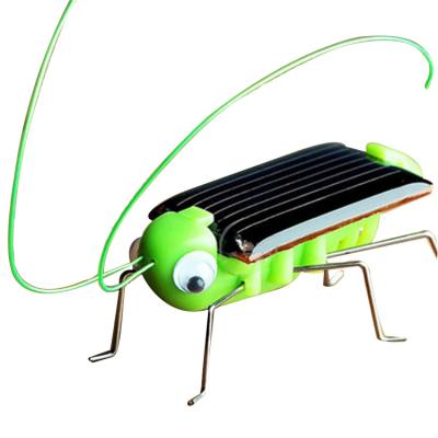 China XRF Solar Locust Educational Toy Model S-054 | 5g Weight | Solar Powered Grasshopper for Ages 7+ for sale