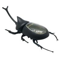 China Custom Design Solar Insect Solar Beetle Small Bug Baby Education Toys for sale