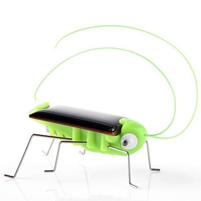China ECO Friendly Green Solar Powered Grasshopper For Kids Customized Logo for sale