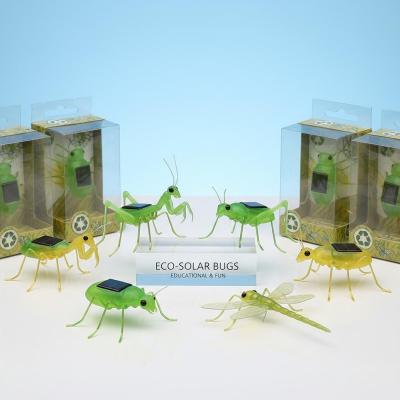 China Promotional Eco Friendly Solar Insect Novelty Gag Toys Classic Toys Educational Solar Toys & Hobbies for sale