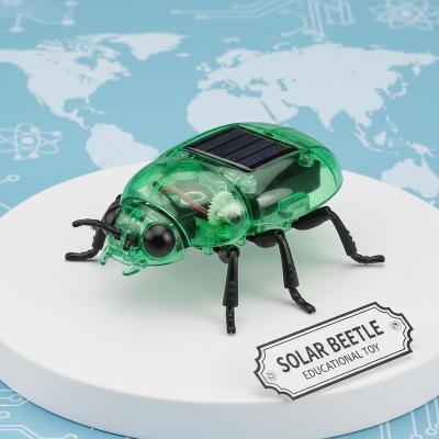 China Promotional Solar Toys Solar Powered Beetle Insect Knowledge Educational Toys Multiage Kids Toys for sale