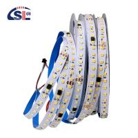 China Customizable 6500K White Electroplate LED Strip Light for Various Lighting Applications for sale