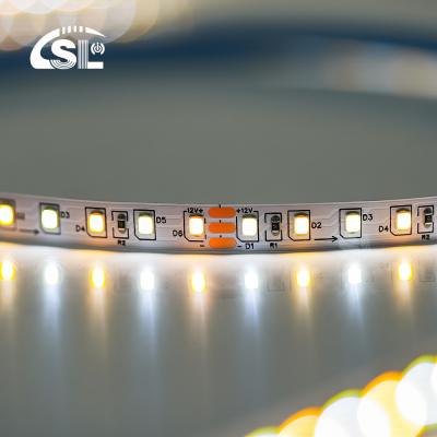 China High Lumen 12v24v 8mm 120leds 3000K-6500K CCT Dual Color Die-Cutting Board SMD2835 LED Strip Light for sale