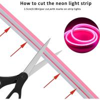 China Hotel Popular Silicone Neon Flex Pink LED Neon Flex DC 12V IP65 Waterproof 8x16mm 120 LEDs/M for sale