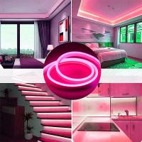 China Hotel Popular Silicone Neon Flex Pink LED Neon Flex DC 12V IP65 Waterproof 8x16mm 120 LEDs/M for sale
