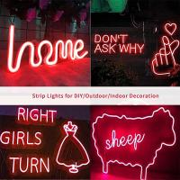 China DC 12V Red LED Neon Flex with 50000 Working Lifetime and Hanging Mounting Installation for sale