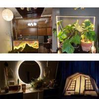 China Indoor Decoration 3000K/4000K/6500K Flexible Electroplate SMD2835 LED Strip Light 5V 8mm 120LEDs for sale
