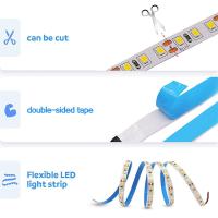 China Long 12V 8mm 120leds Red Die-Cutting Board SMD2835 Led Strip Light for Commercial Lighting for sale