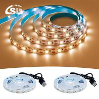 China Dimmer Support 5v 8mm 120leds 3000K Warm White Flexible Electroplate Led Strip Light for sale