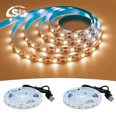 China Dimmer Support 5v 8mm 120leds 3000K Warm White Flexible Electroplate Led Strip Light for sale