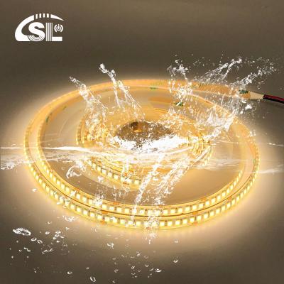 China Smart IP65 Smd 2835 Led Strip Light 120/240leds Flexible 8mm 12v for Outdoor and Bathroom for sale
