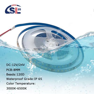 China 10mm 240leds 3000K-6500K CCT Waterproof ip65 dual color SMD2835 Led Strip Light 12v24v for sale