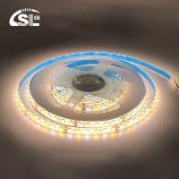 China 10mm 240leds 3000K-6500K CCT Waterproof ip65 dual color SMD2835 Led Strip Light 12v24v for sale