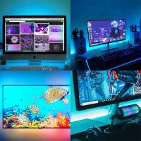 China 12v24v 8mm 320leds Ice-Blue flexible COB Led Strip Light for Lighting and circuitry design for sale