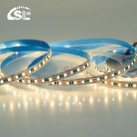 China Adjustable Color Temperature LED Strip Light 120 LEDs/m Dual Color 8MM Not Waterproof for sale