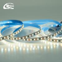 China Adjustable Color Temperature LED Strip Light 120 LEDs/m Dual Color 8MM Not Waterproof for sale