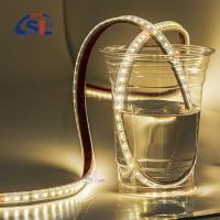 China Waterproof LED Strip 12V 24V White Warm White 2835 120LEDs/m for Outdoor Garden Decor for sale
