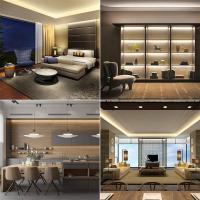 China 12v24v 8mm 608leds 3000K 4000K 6500K CCT Electroplate Dual Color COB Led Strip Light for sale
