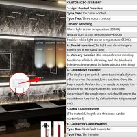 China AC220V 1A 12W Smart Mirror Touch Sensor Dimmer Controller Switch for Bathroom Hotel Salon for sale