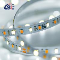China Touch Control Customized 8mm 120leds 3000K-6500K CCT Waterproof SMD2835 Led Strip Light for sale