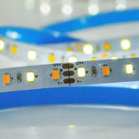 China Customized CCT 12V24V 8mm 120leds 3000K-6500K Warm White-White SMD2835 Led Strip Light for sale