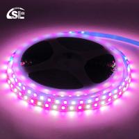 China 1200-1600LM Pink 6500K 35Copper Ra70 LED Light Strips for Bathroom Vanities Mirrors DC12V SMD2835 120D 8mm for sale