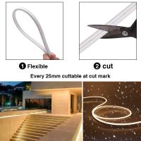 China Neon Lights Item Type Auto CAD Layout Lighting Solutions for Waterproof LED Neon Tube for sale