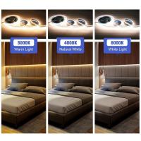 China DC12V 24V SMD2835 Electroplate PCB 120Ds 5mm Ra 80 6500K LED Light Strip for Residential for sale