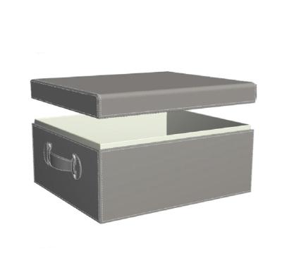 China Lightweight Sturdy Wardrobe Organizer Storage Boxes Multi Purpose for sale