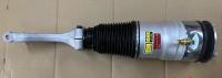 China Tesla Model S Rear Air Spring Module for Dual Motor 2012-2021 for sale