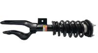 China Tesla Model 3/Y Front Left Damper Assembly Coil E3 Dual Motor 2017-2023 for sale
