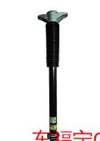 China Adjustable Hydraulic Shock Absorber Core for 2WD EV Rear Suspension for sale