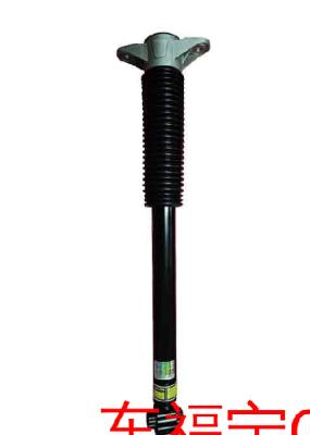 China Adjustable Hydraulic Shock Absorber Core for 2WD EV Rear Suspension for sale