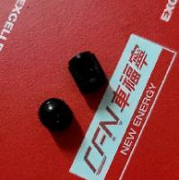 China Tesla Model 3/Y/X/S TPMS Dust Caps - Black Plastic Valve Stem Covers for sale