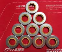 China Oil Seal Motor Water Seal Two-Layer For Tesla Model S(2012-2016) 1002713-02-D for sale