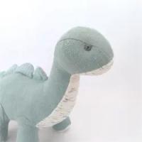 China Plush Boys Girls Gifts Stuffed Earth Friendly Funny Joy Baby Grey Green Pterosaur Toys EN71 for sale