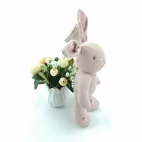 China Oaini Brand Huggable Stuffed Animal Toy Loveable Soft Eastern Bunny Toy for sale