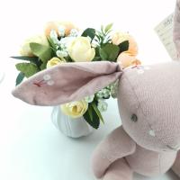 China Oaini Brand Huggable Stuffed Animal Toy Loveable Soft Eastern Bunny Toy for sale