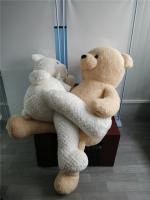 China OAINI ODM OEM Manufacturer Custom Plush Animal Toys Huggable Bear Brother Loveable Soft Animal Toys for sale
