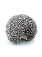 China Small Animal Warm Color Cute Hedgehog Soft Plush Toy Christmas Children Playing OEM ODM for sale