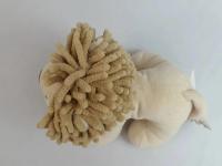 China Beige Lion Cub Custom Cute Cotton Plush Soft Animal Toys Plush And Stuffed Lion Toys for sale