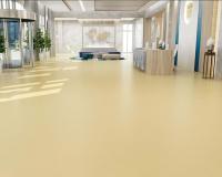 China 3.0mm Thick 2m Width Vesicant Waterproof Vinyl Flooring Roll for Schools Hospitals for sale