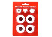 China Set of Aluminium Radiator Accessories Kits Packed in a Blister for Radiator(V21-731) for sale