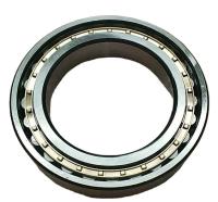 China Bearing 144-13-11161 for Bulldozer D65A-8 for sale
