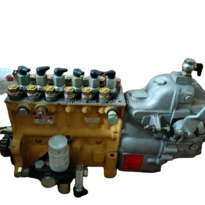 China Fuel Pump 6128-71-1055 for Bulldozer D355A-3 for sale