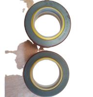 China Oil Seal High Quality Seal 3020185 for NT855 for sale