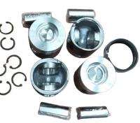 China Piston Kit 1004016P for Engine BF4M2012 for sale
