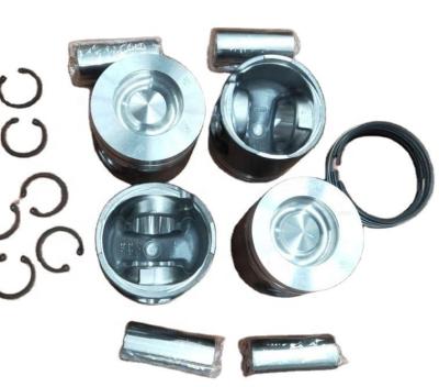 China Piston Kit 1004016P for Engine BF4M2012 for sale